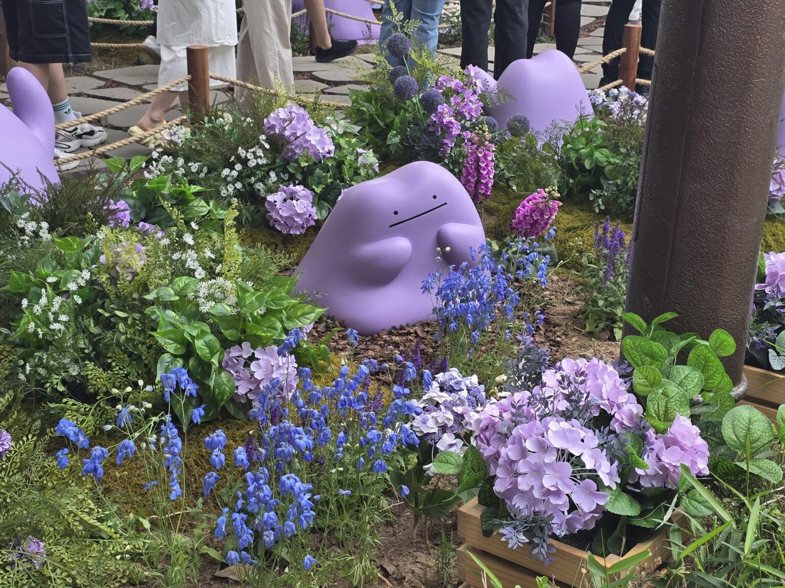 【メタモンガーデン】韓国ソウルボラメ公園でポケモンのイベントが2025年5月22日から2025年6月22日まで開催！韓国イベントポケモン大人気 ...