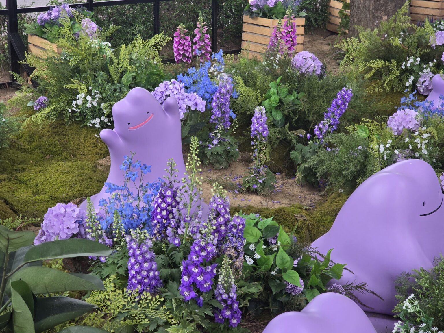 【メタモンガーデン】韓国ソウルボラメ公園でポケモンのイベントが2025年5月22日から2025年6月22日まで開催！韓国イベントポケモン大人気 ...