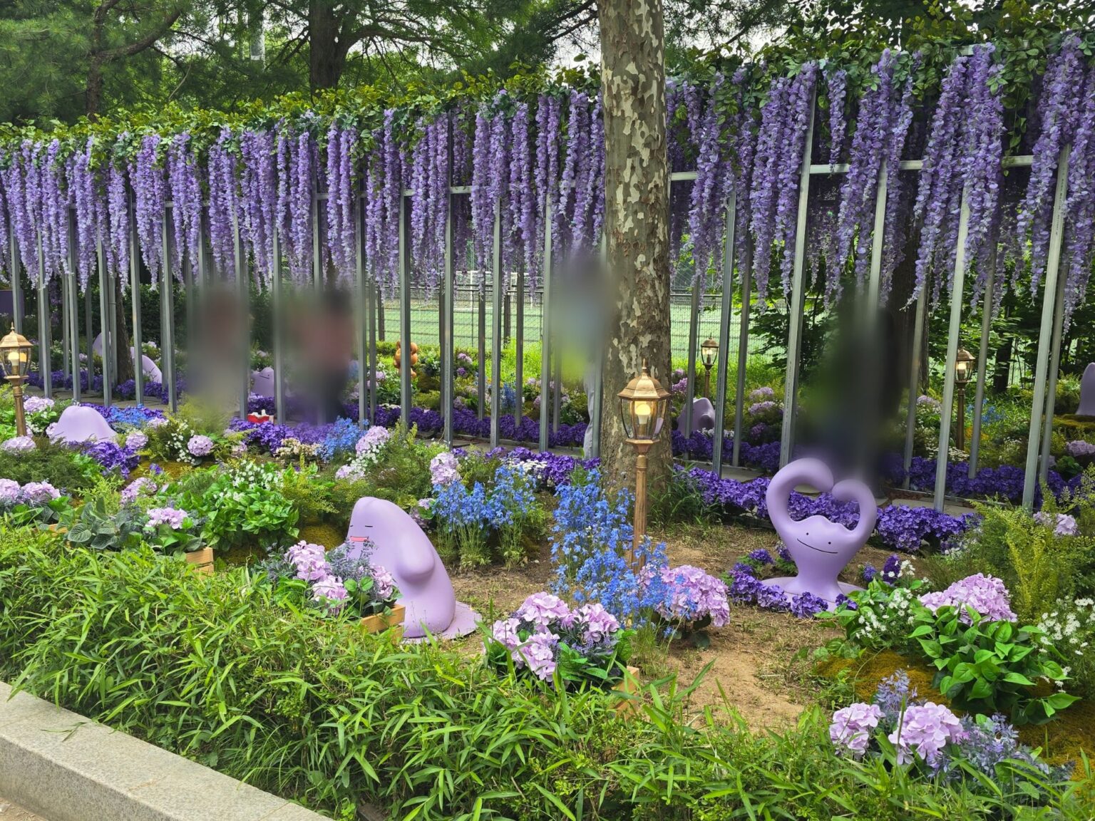 【メタモンガーデン】韓国ソウルボラメ公園でポケモンのイベントが2025年5月22日から2025年6月22日まで開催！韓国イベントポケモン大人気 ...